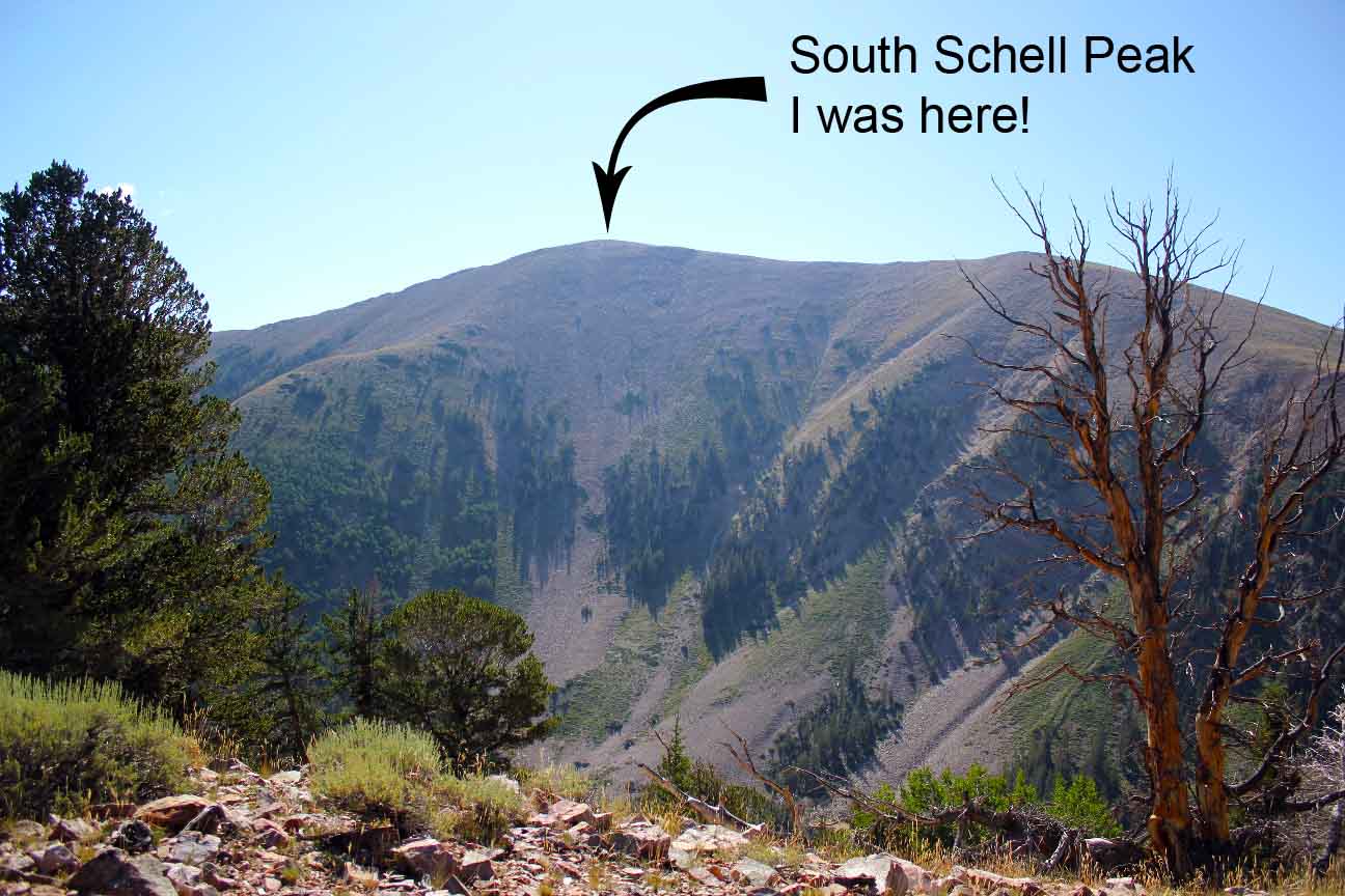 Kay's Photo Journal - July 2013