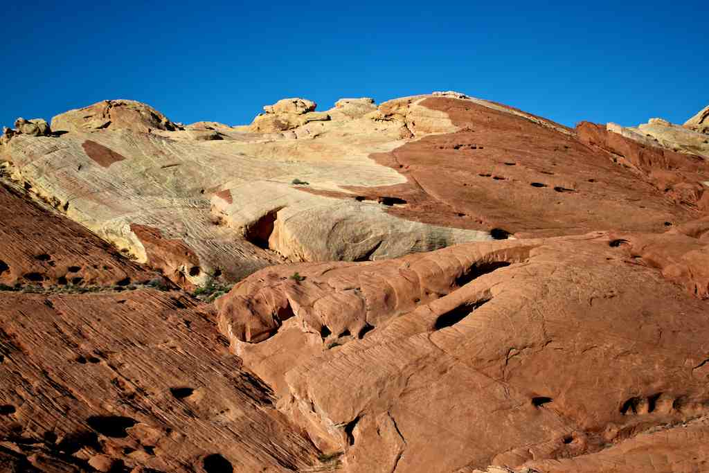 Kay's Photo Journal - January 2014