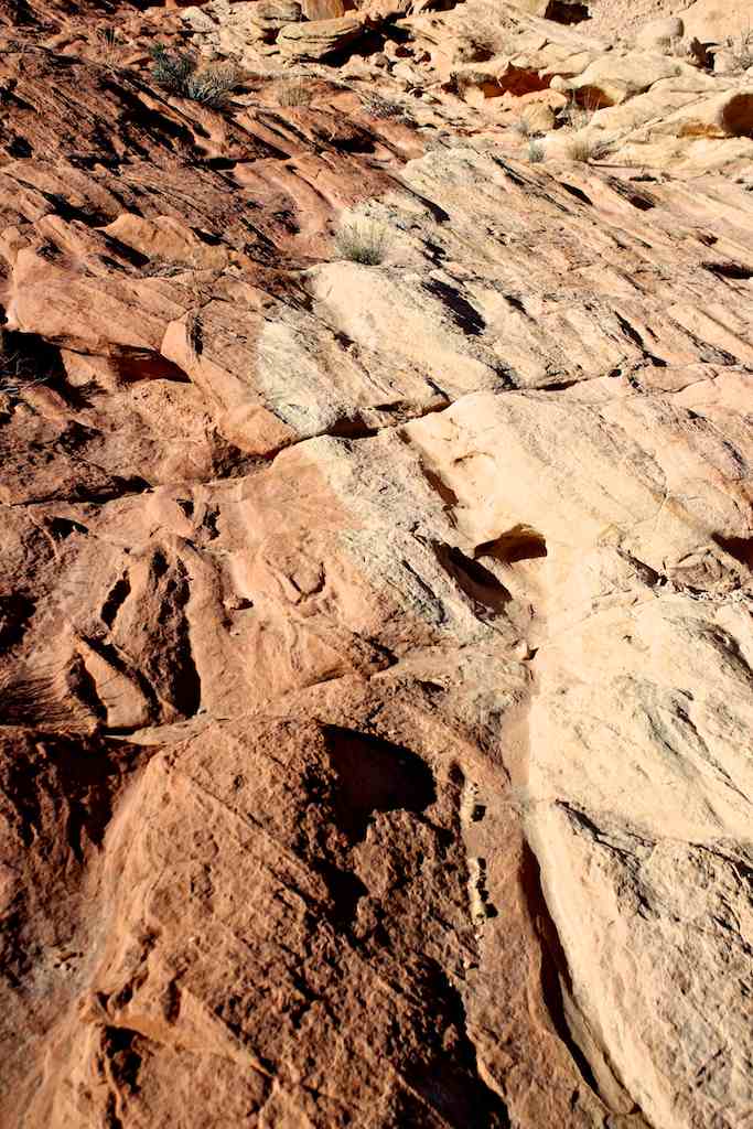 Kay's Photo Journal - January 2014