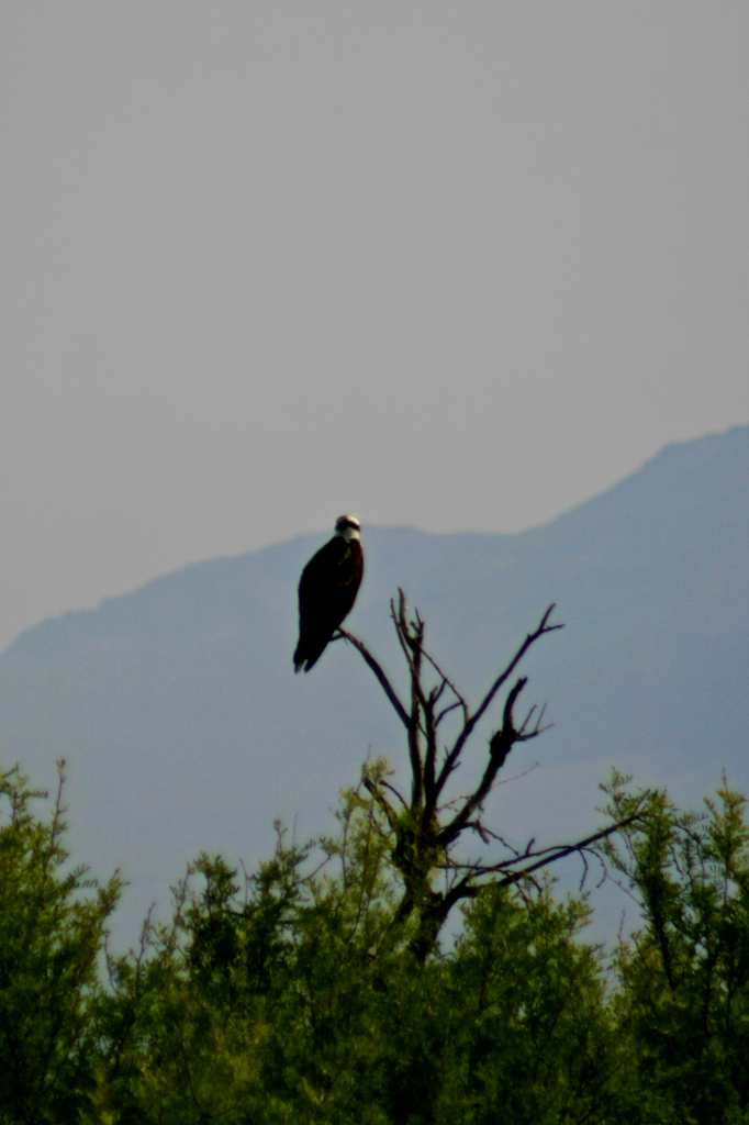 Kay's Photo Journal - May 2014