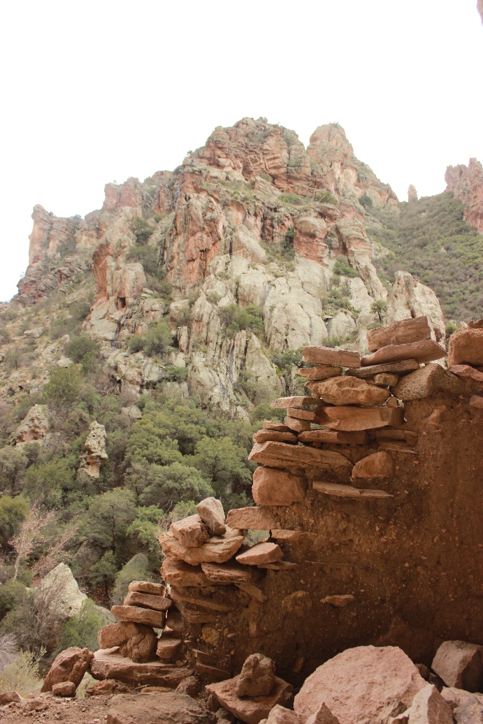 Kay's Photo Journal - December 2015