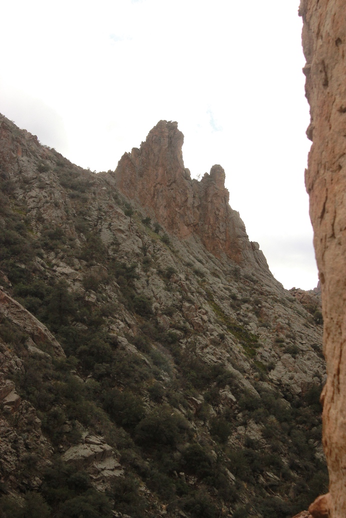 Kay's Photo Journal - December 2015