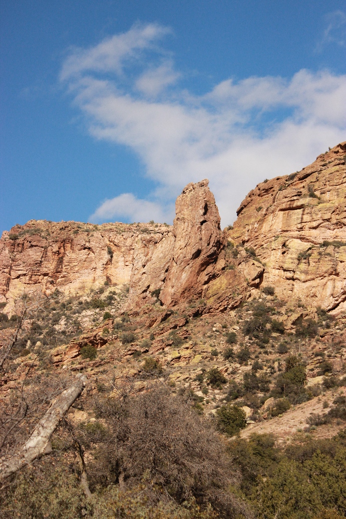 Kay's Photo Journal - December 2015